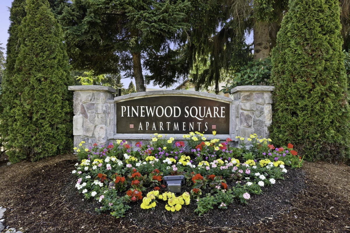 Lynnwood Apartments for Rent | Pinewood Square | Photos
